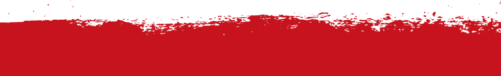 Vanguard Cadets - Santa Clara Vanguard